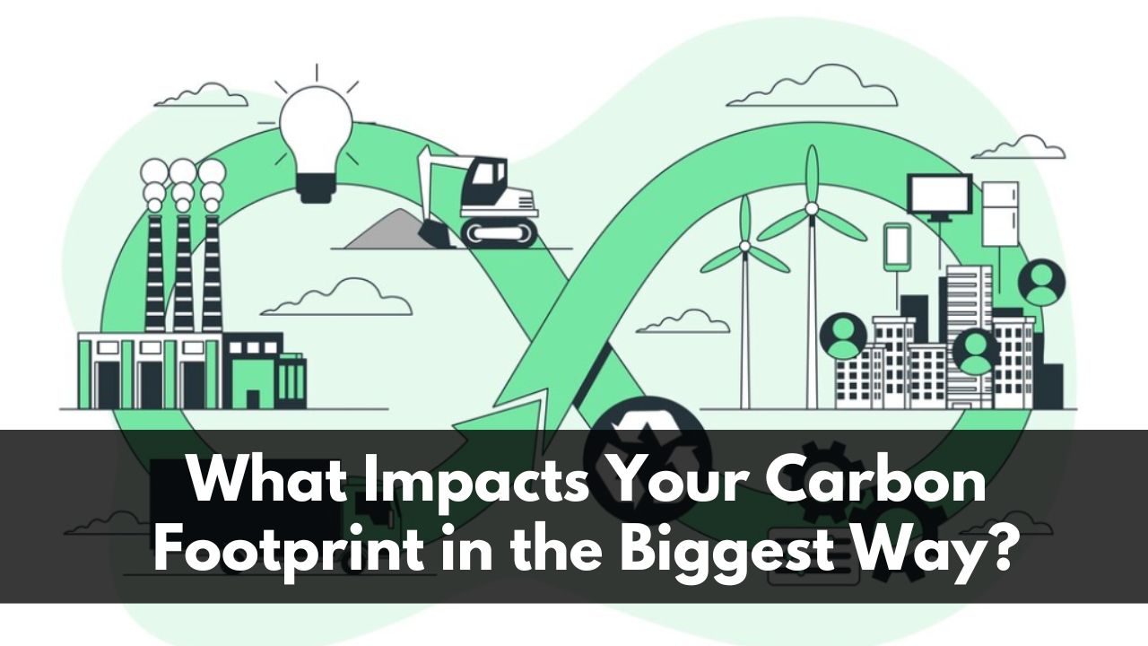 What Impacts Your Carbon Footprint in the Biggest Way? - COSTMOS